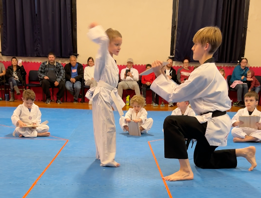 Home [www.woosoptkd.com]
