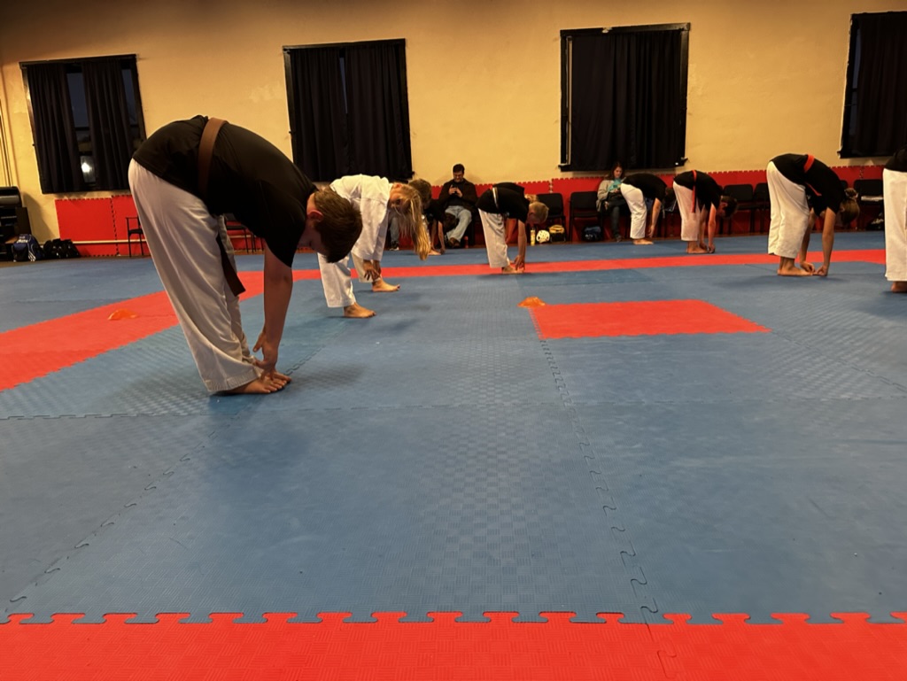 Home [www.woosoptkd.com]